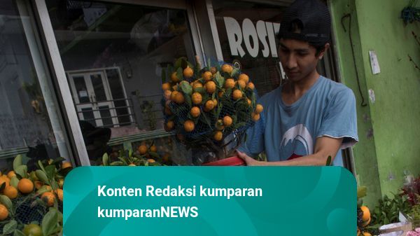 Foto: Penjualan Tanaman Jeruk Hias Jelang Imlek di Pasar Rawa Belong ... Foto: Penjualan Tanaman Jeruk Hias Jelang Imlek di Pasar Rawa Belong ...